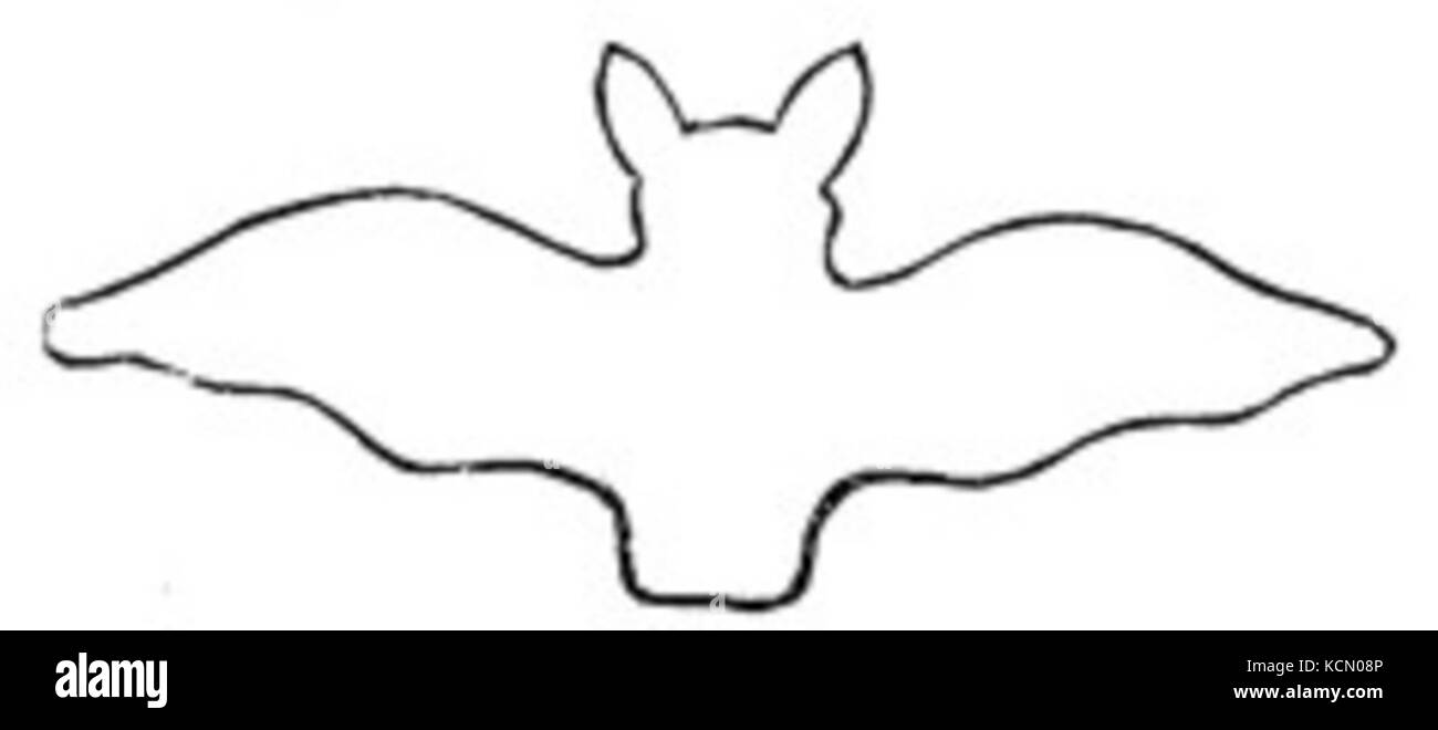 Bat outline hi-res stock photography and images - Alamy