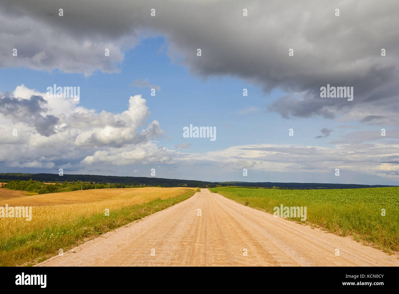 Wheat russia landscape hi-res stock photography and images - Alamy