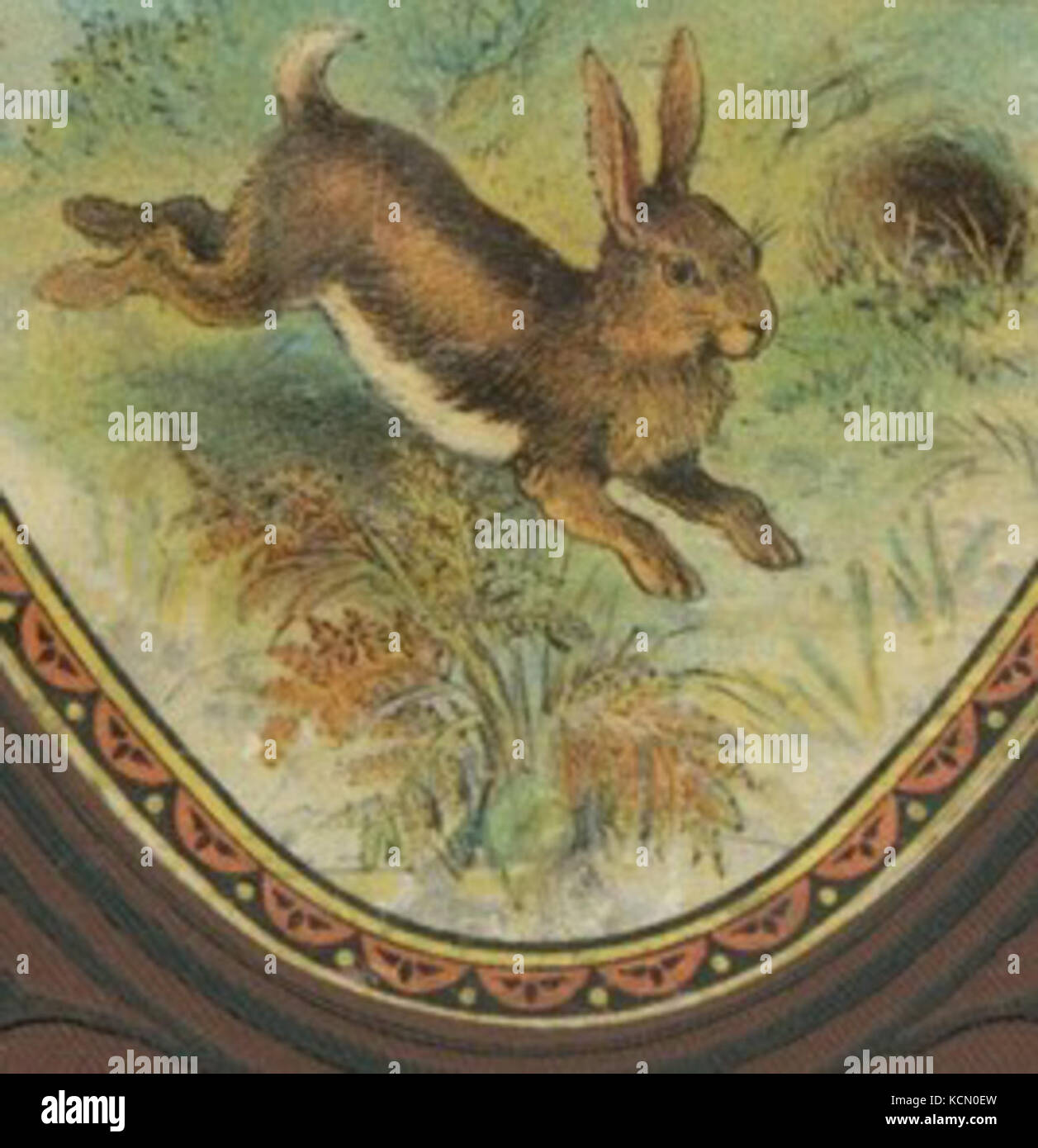 Bunny Cover Art Stock Photo - Alamy