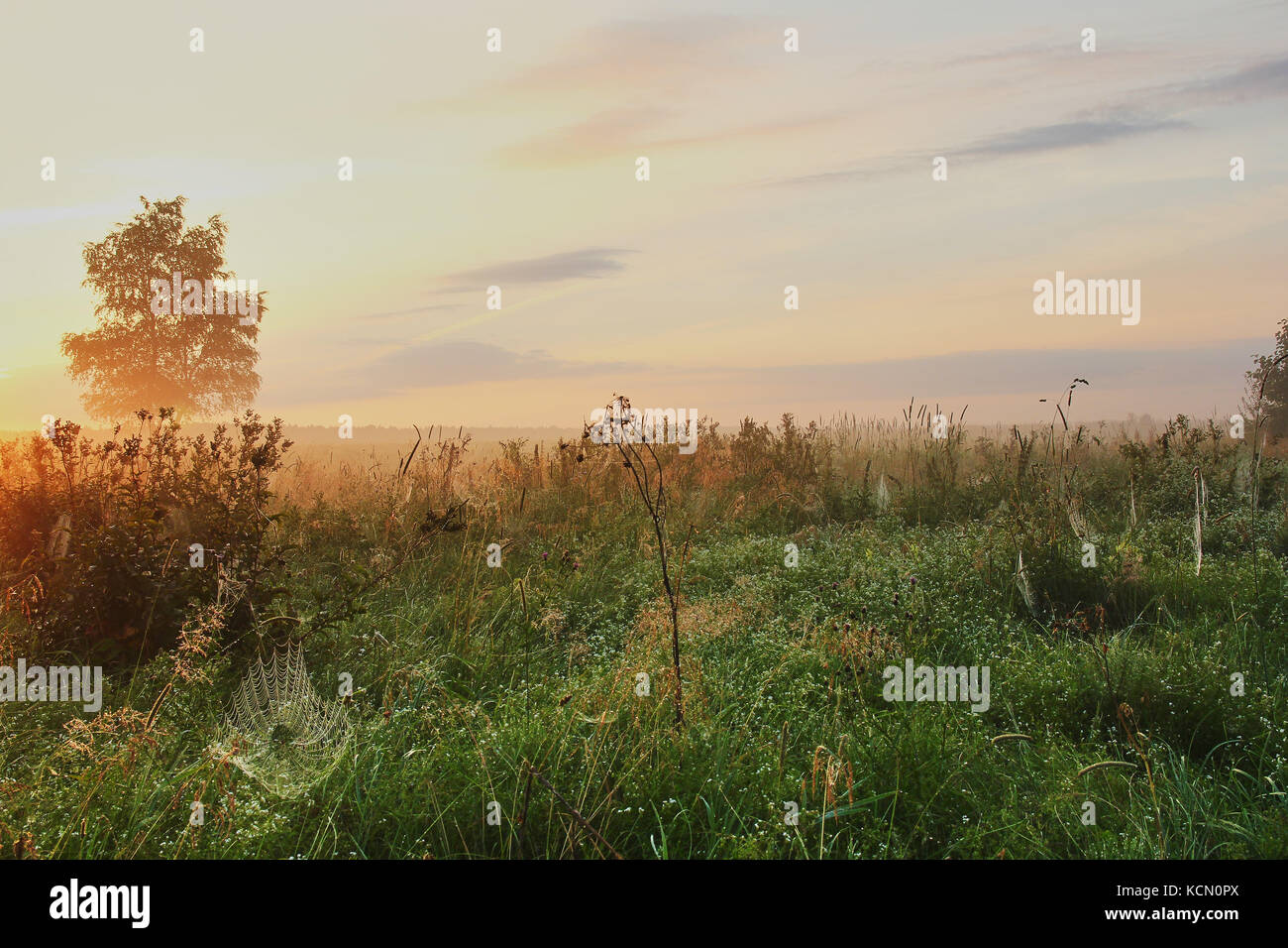 landscape photo of the dawn in August Stock Photo - Alamy