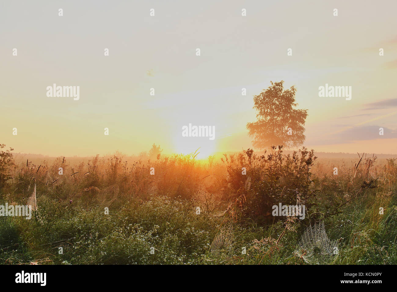 landscape photo of the dawn in August Stock Photo - Alamy