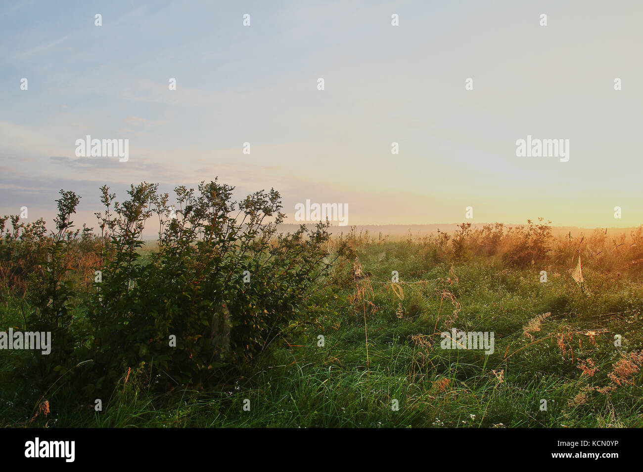 landscape photo of the dawn in August Stock Photo - Alamy