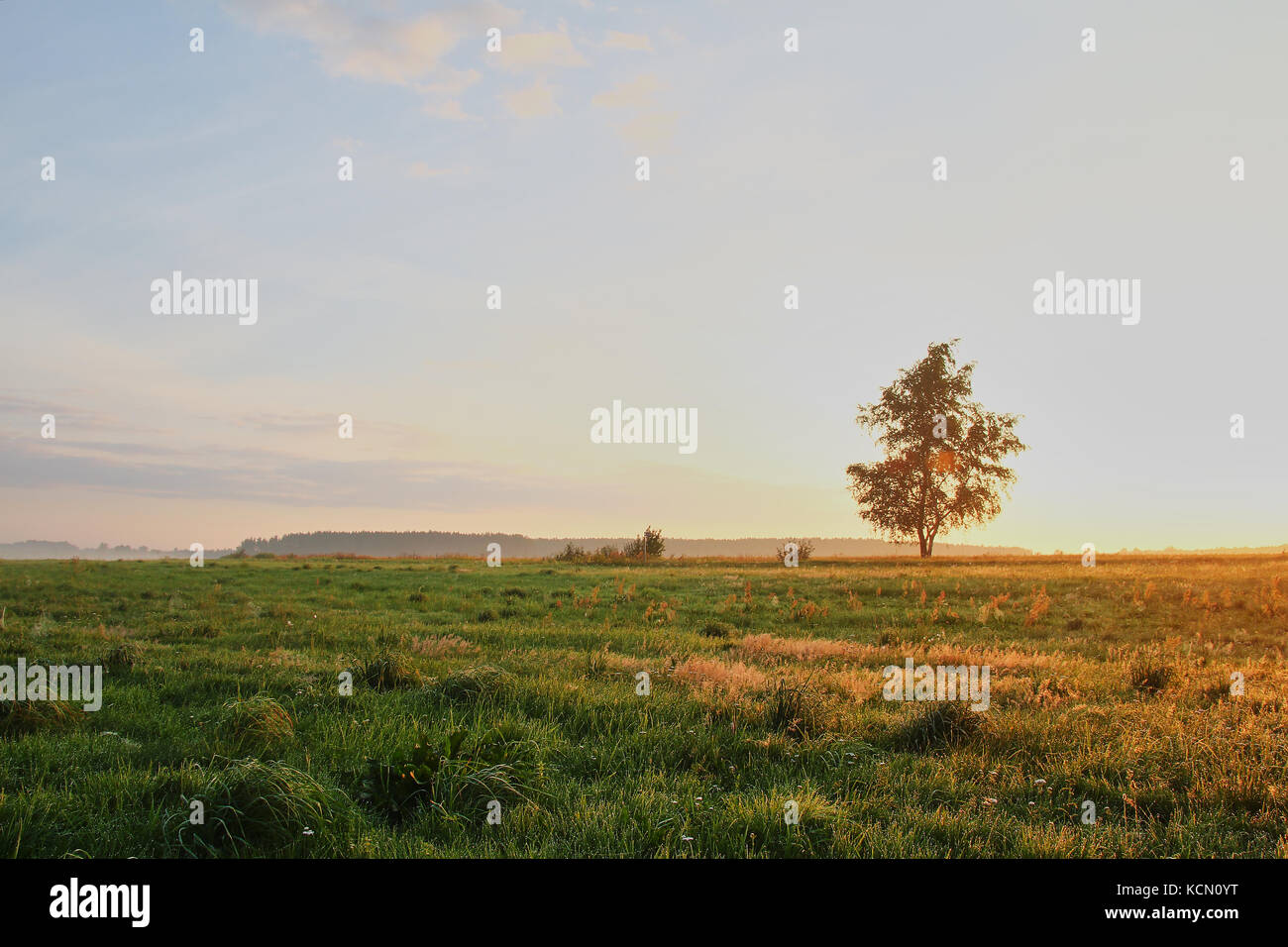 landscape photo of the dawn in August Stock Photo - Alamy