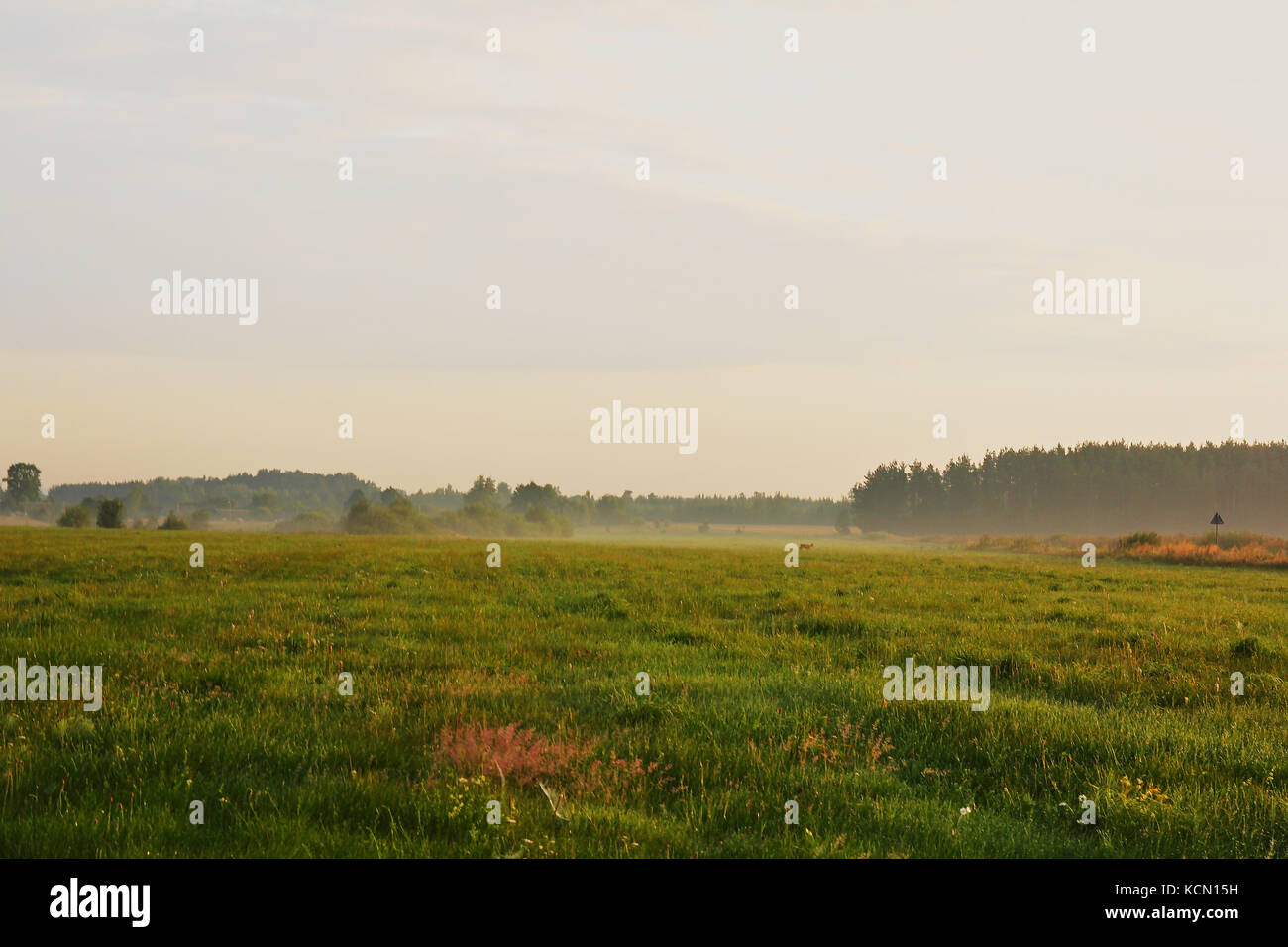 landscape photo of the dawn in August Stock Photo - Alamy