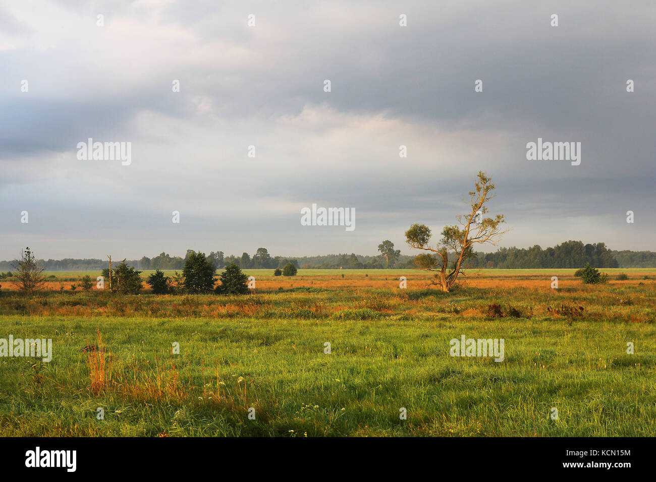 landscape photo of the dawn in August Stock Photo - Alamy