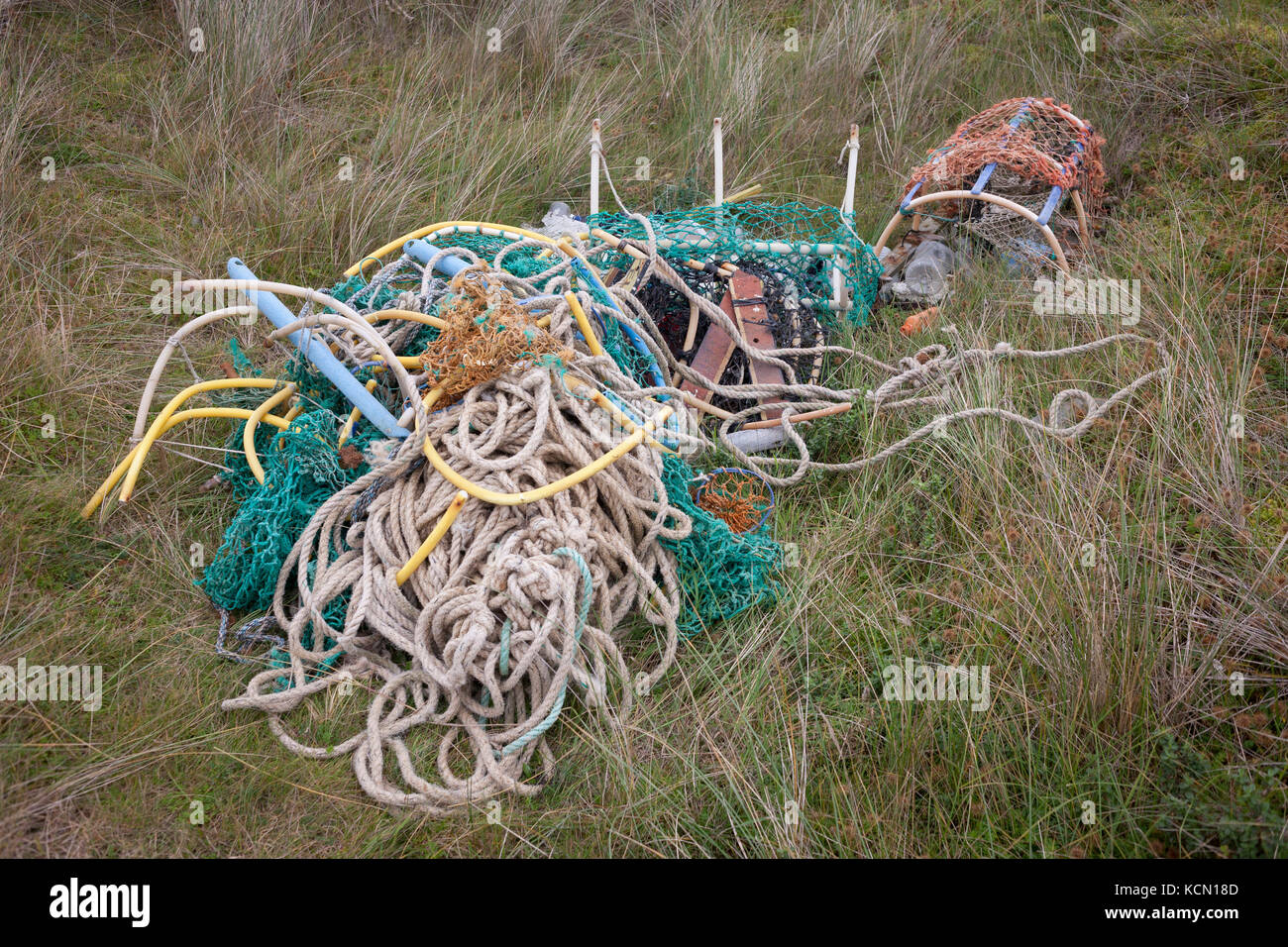 Fibrous cord hi-res stock photography and images - Alamy
