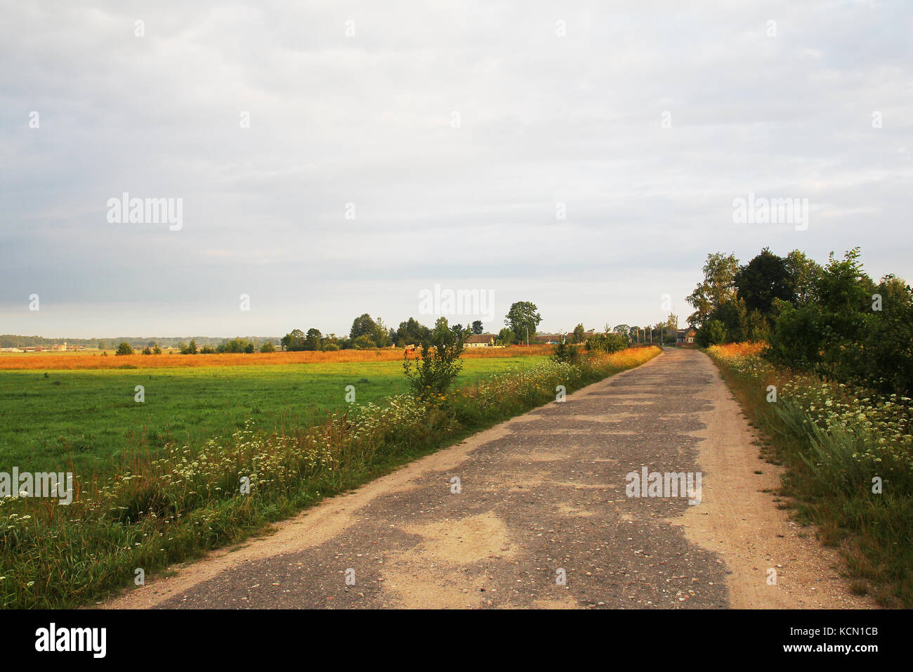 landscape photo of the dawn in August Stock Photo - Alamy