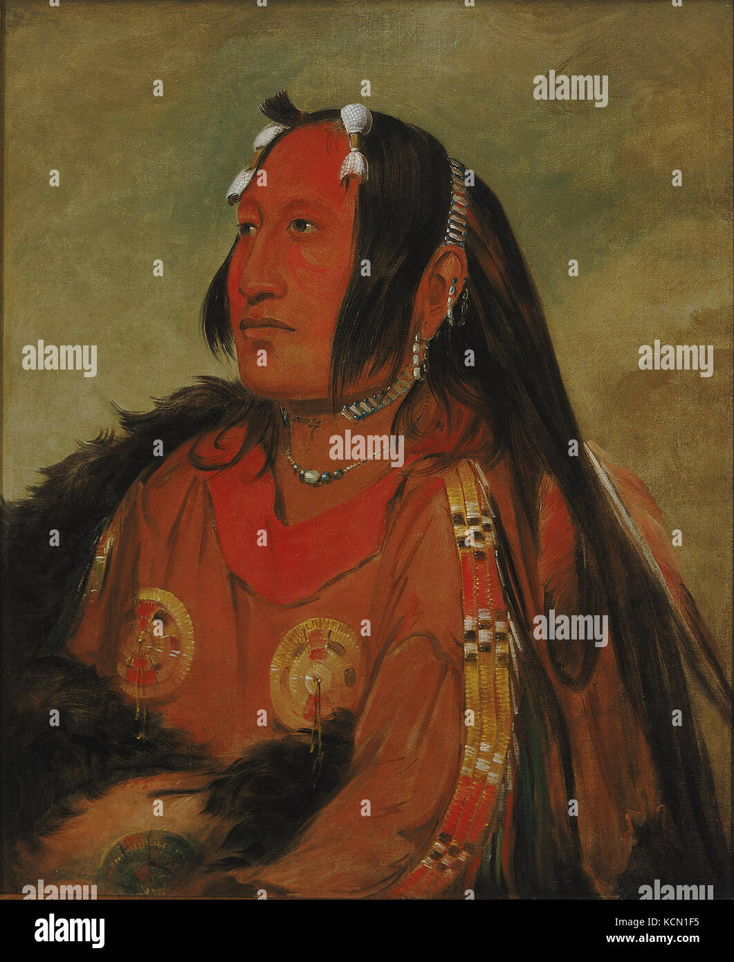 George Catlin Pigeons Egg Head Smithsonian Stock Photo - Alamy