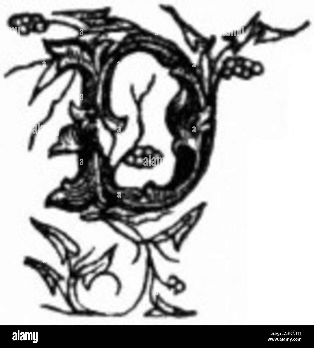 Fancy Letter D Stock Photo - Alamy