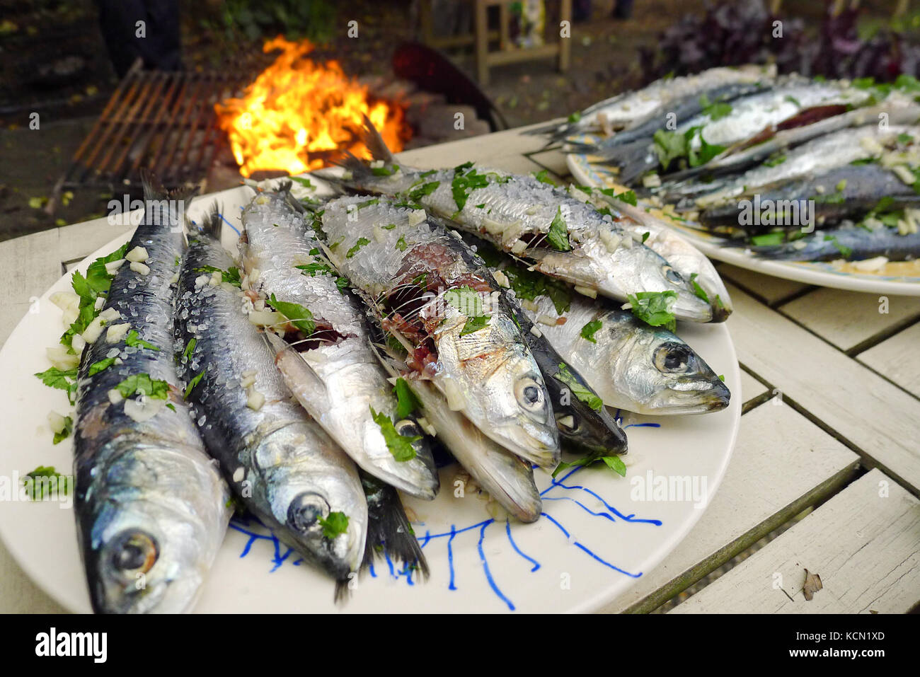 sardines grilled on open fire in the garden Stock Photo - Alamy