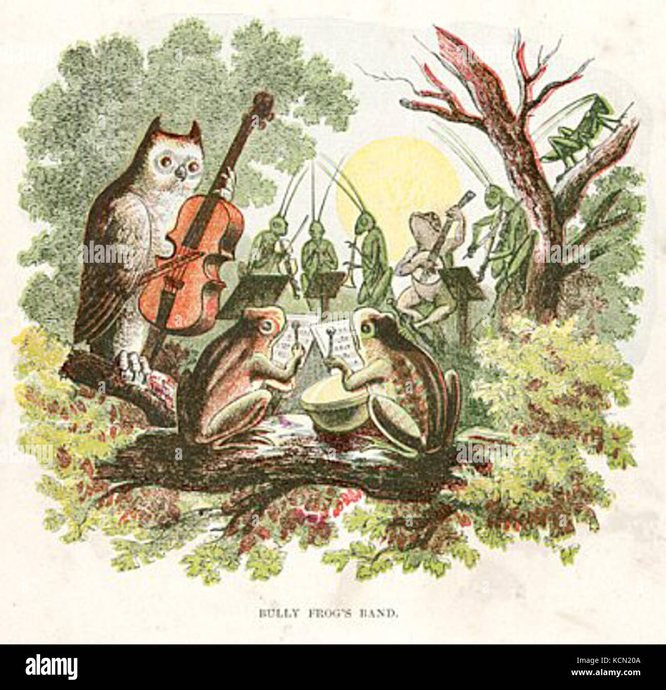 Animal band hi-res stock photography and images - Alamy