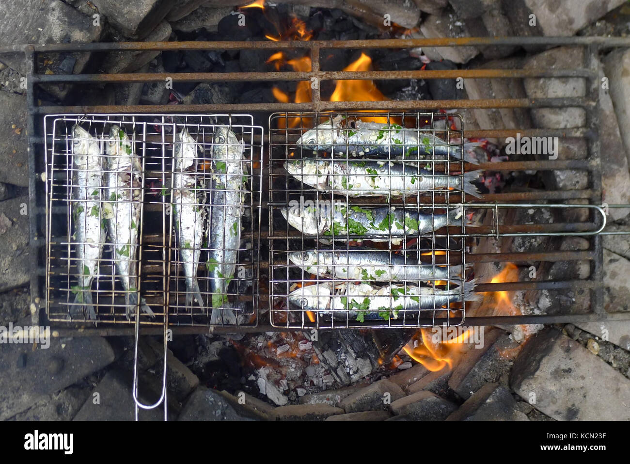 sardines grilled on open fire in the garden Stock Photo - Alamy
