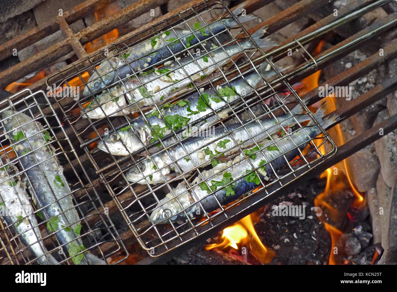 sardines grilled on open fire in the garden Stock Photo - Alamy