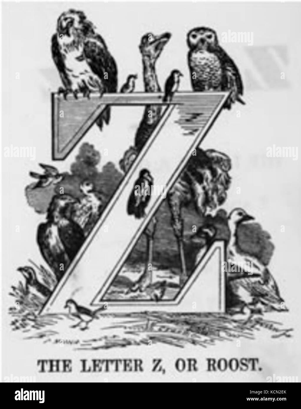 Fancy Letter Z Stock Photo - Alamy