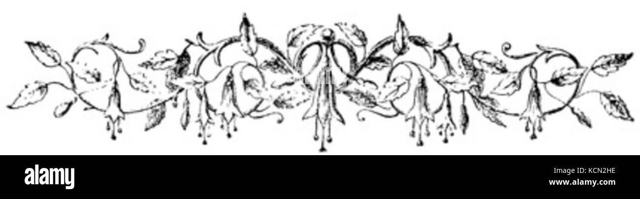 Vibrant border design Black and White Stock Photos & Images - Alamy