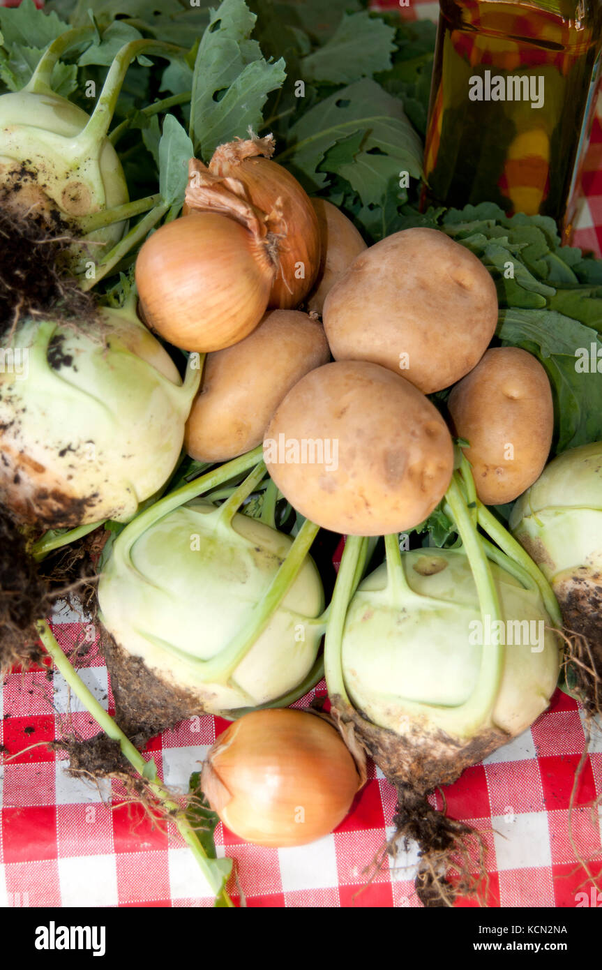 Fresh kohlrabi picked from the vegetable garden Stock Photo - Alamy