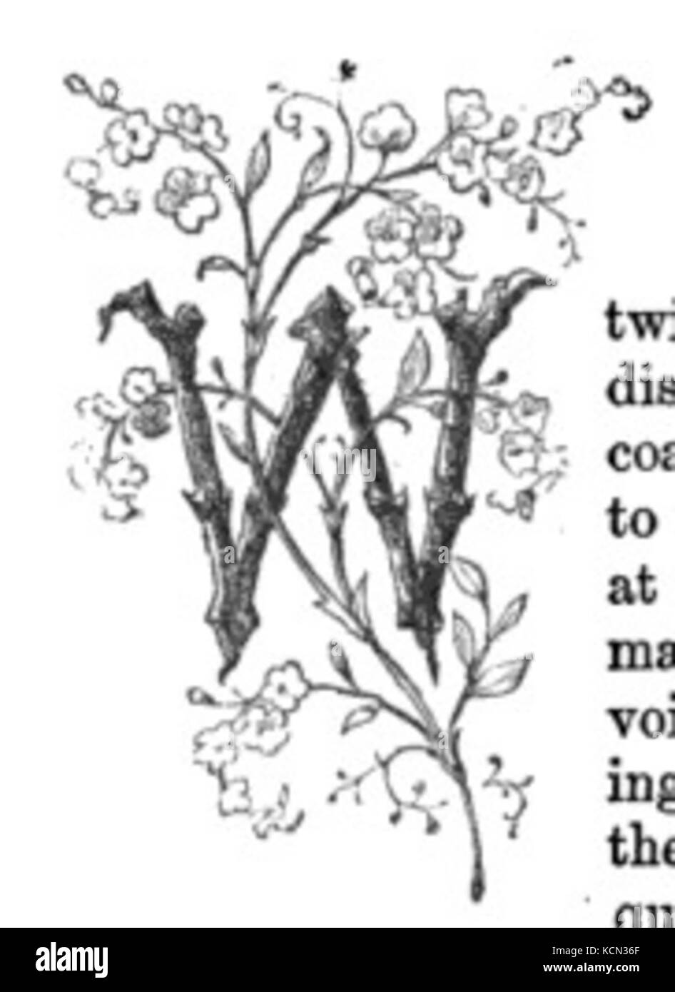 Fancy Letter W Image Stock Photo - Alamy