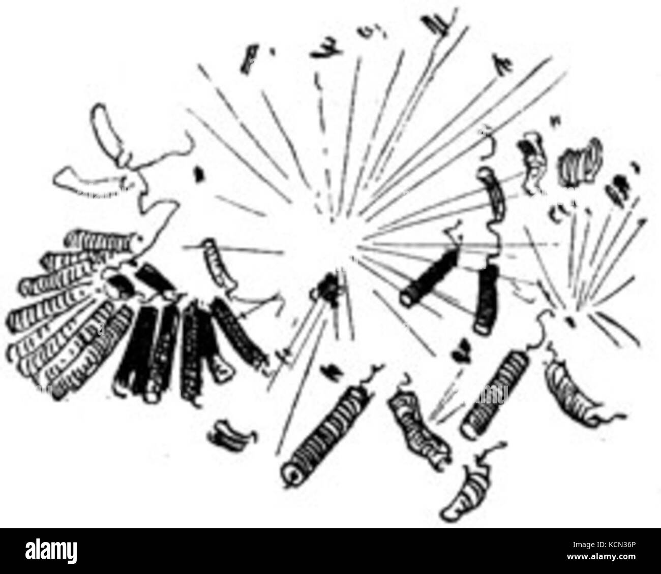 Fireworks visual Black and White Stock Photos & Images - Alamy