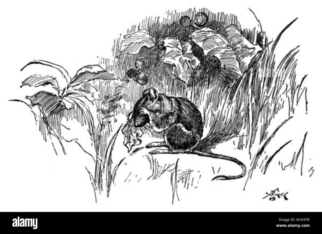 Officers journey Cut Out Stock Images & Pictures - Alamy