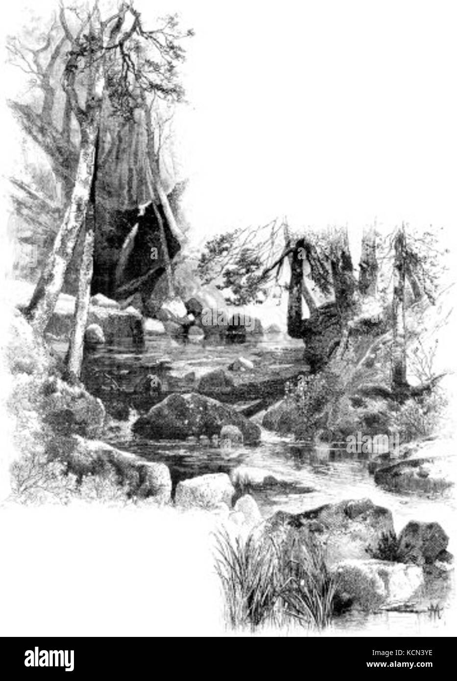 Babbling Brook Drawing Stock Photo - Alamy