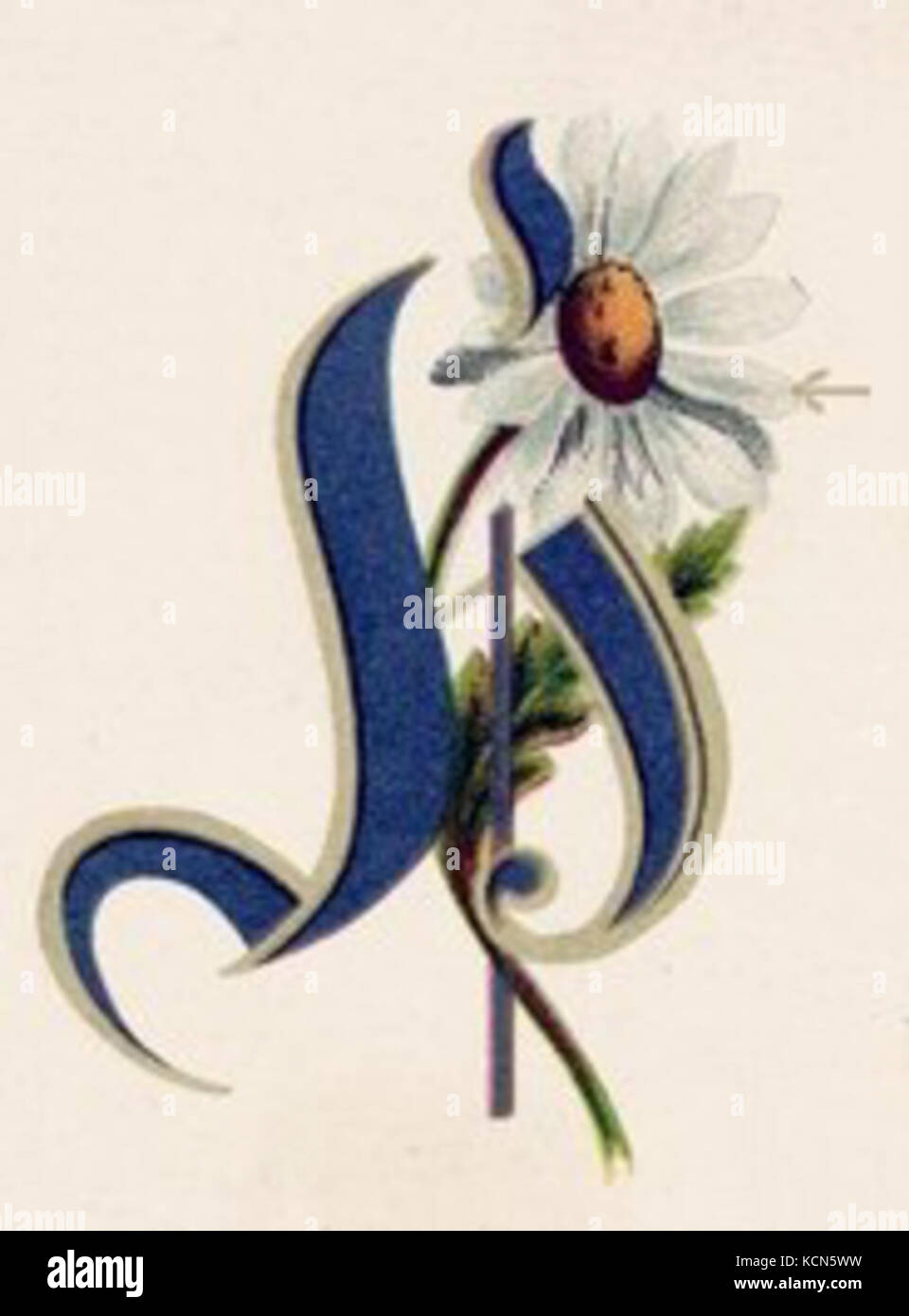 Drop Cap H Drawing Stock Photo - Alamy