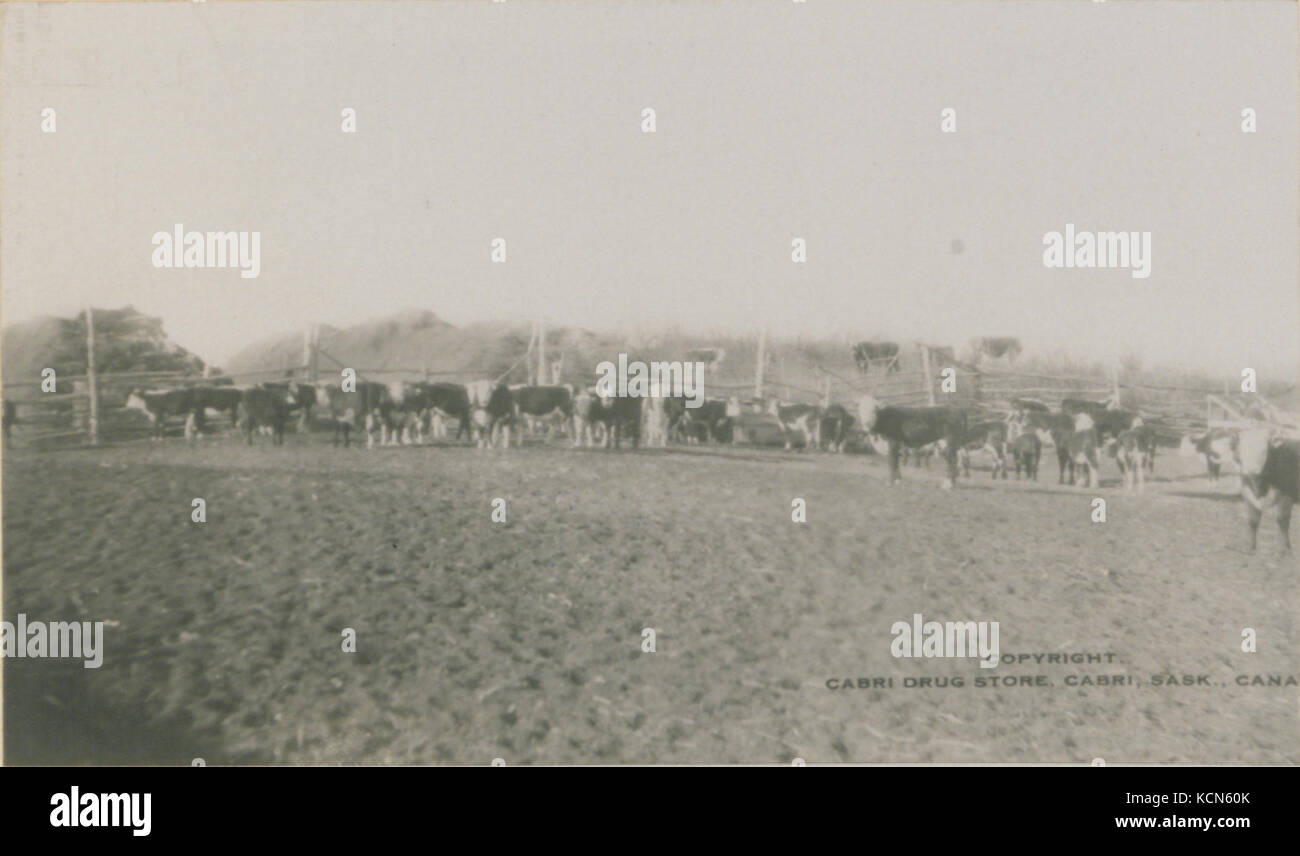 Map of cabri saskatchewan hi-res stock photography and images - Alamy