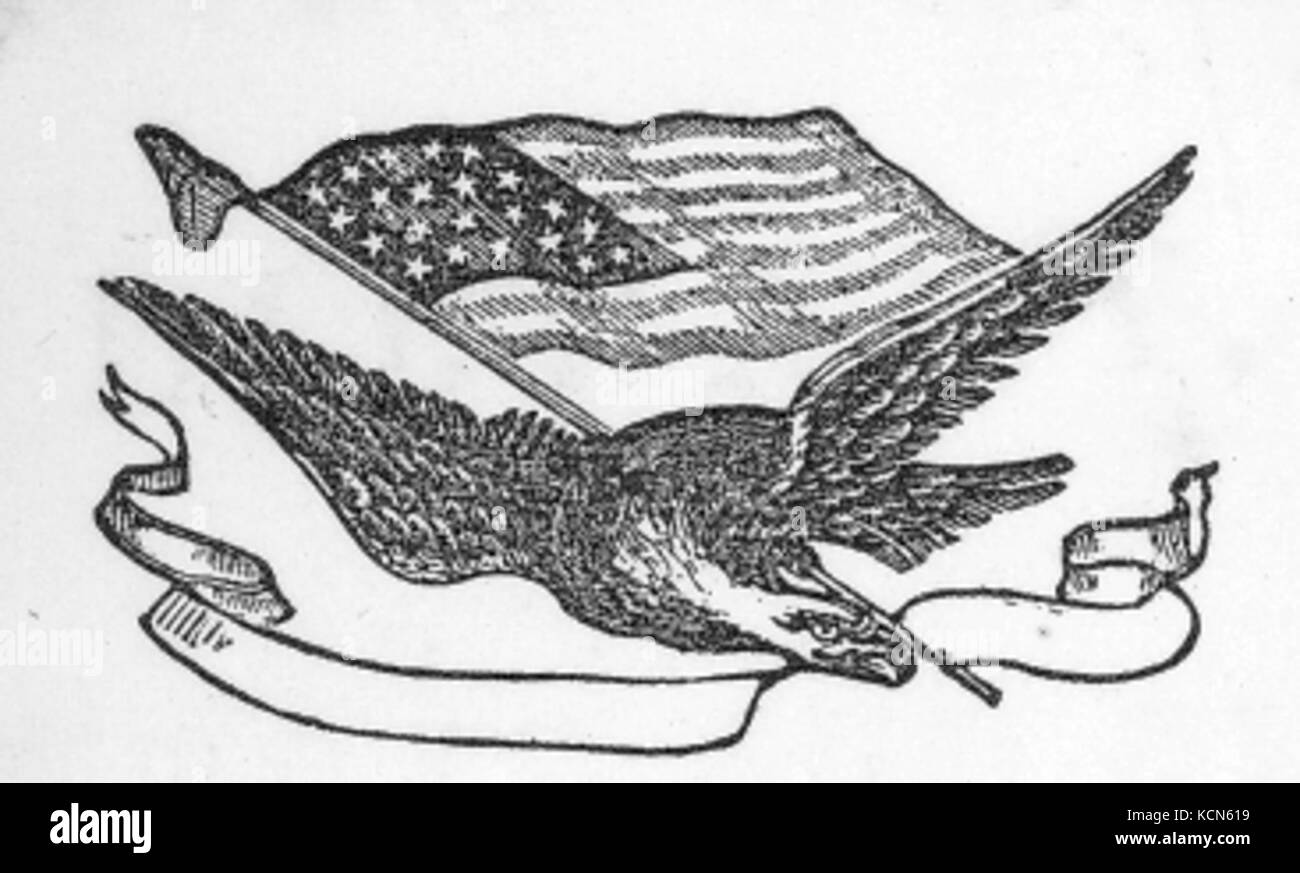 Eagle with Flag Drawing Stock Photo - Alamy