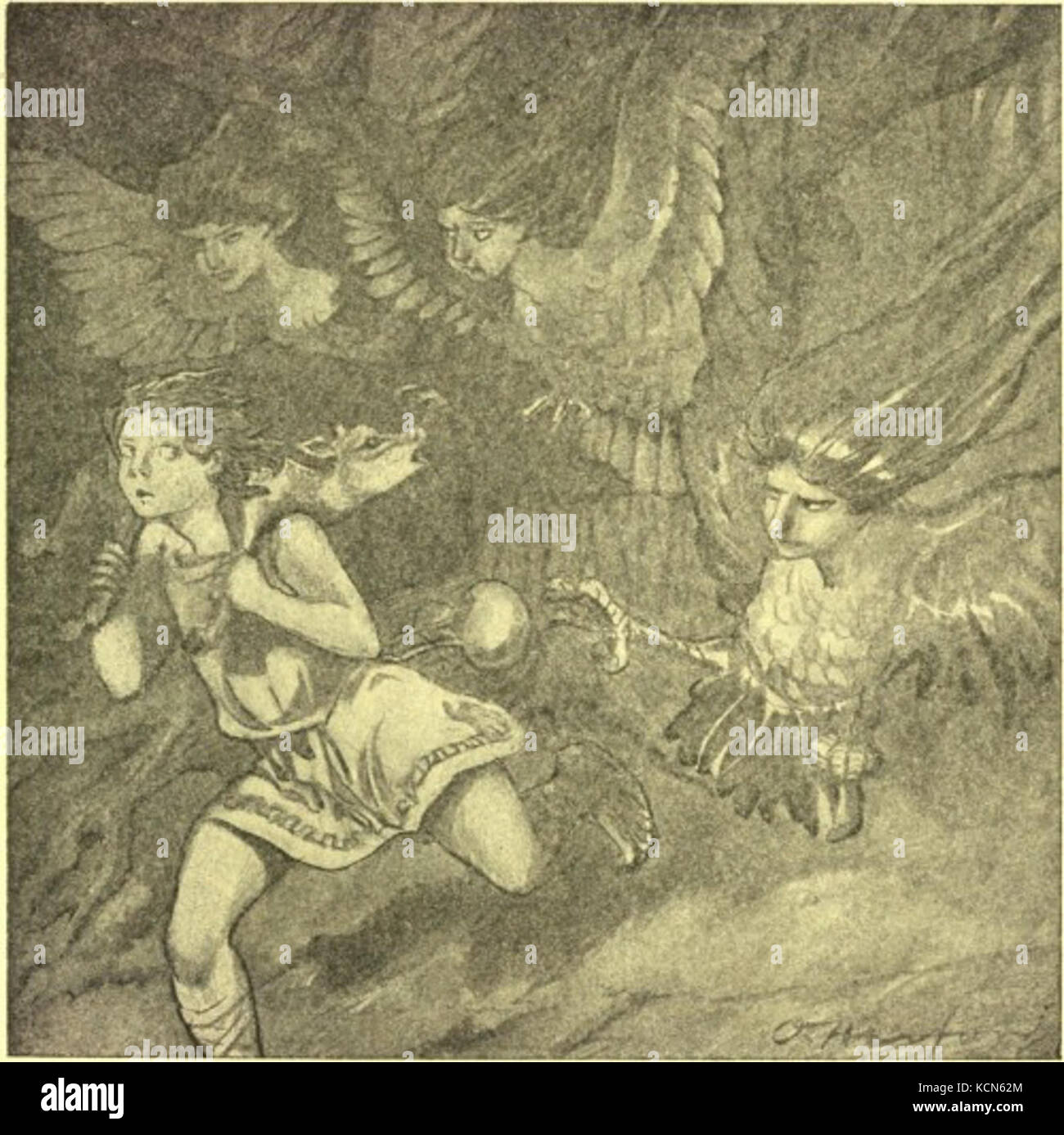 Drawing of Harpies Stock Photo - Alamy