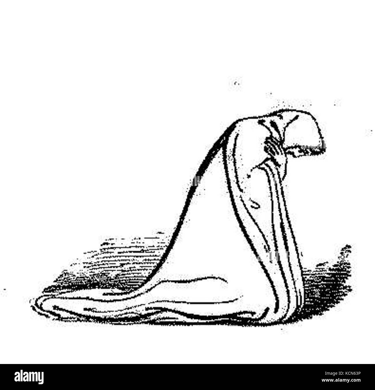 It court case Cut Out Stock Images & Pictures - Alamy