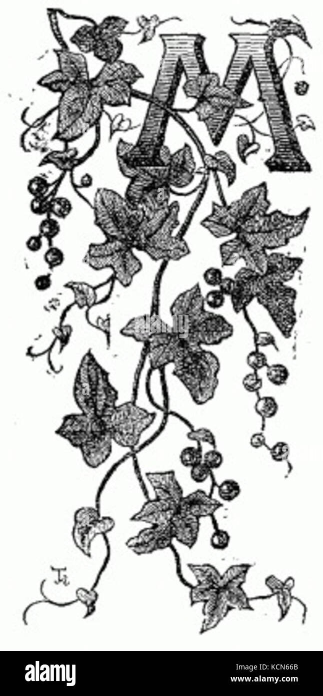 Lettering letter m hi-res stock photography and images - Alamy