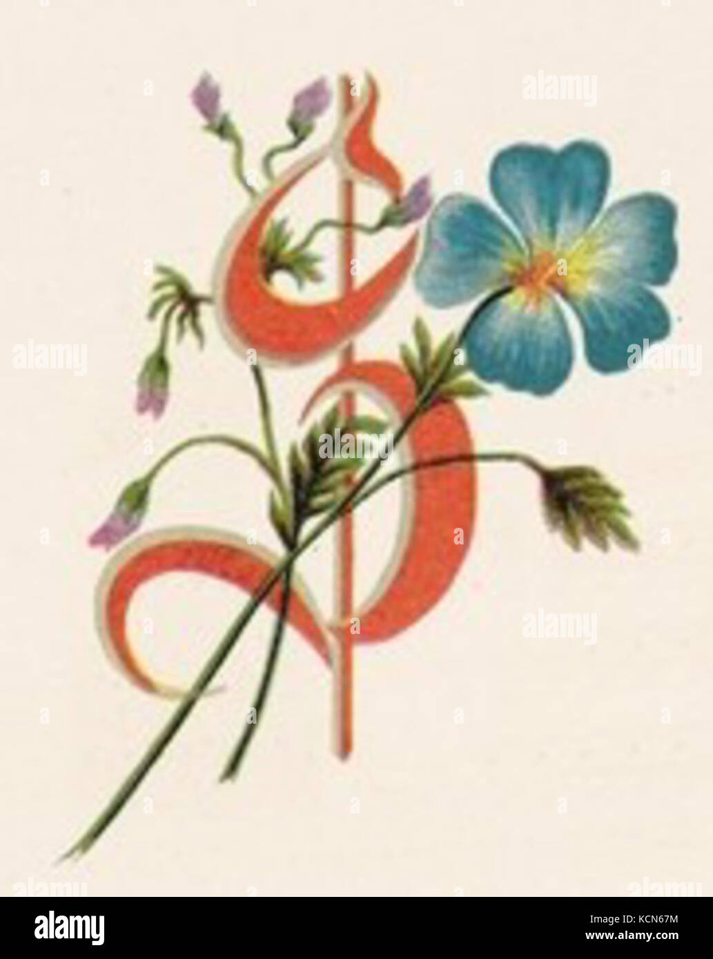 Fancy Letter S Drawing Stock Photo - Alamy