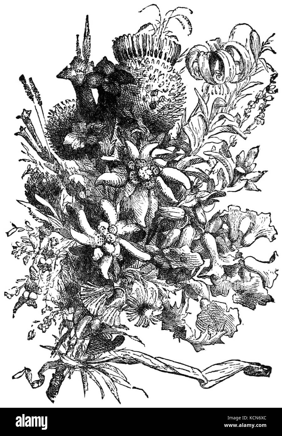 Victorian tramp Cut Out Stock Images & Pictures - Alamy