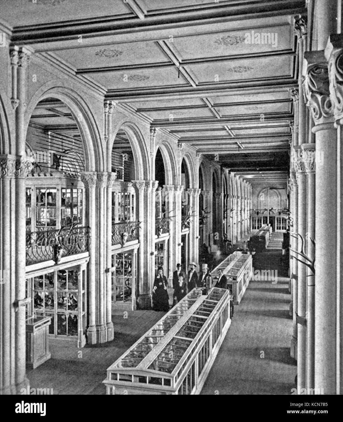 Specimen collecting Black and White Stock Photos & Images - Alamy