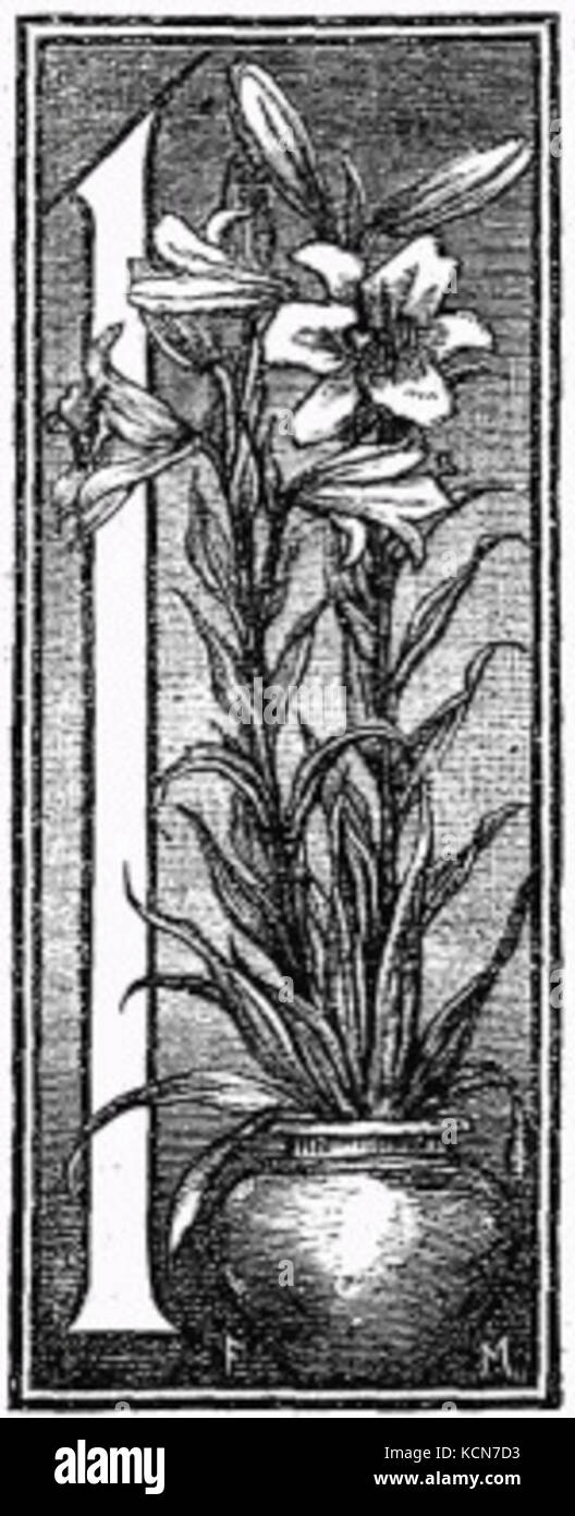 Decorated Letter I Stock Photo - Alamy