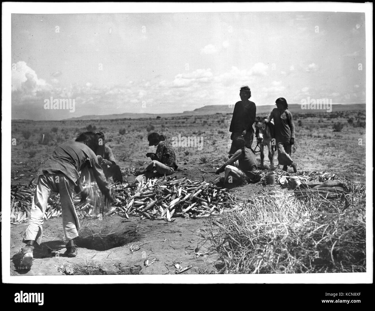 Hopi Indians Farming