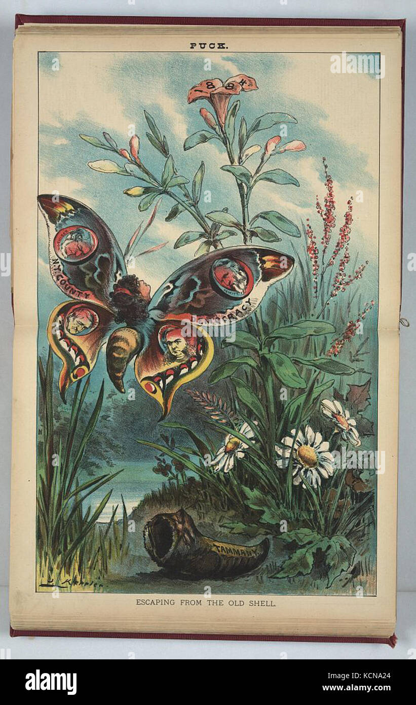 Escaping shell hi-res stock photography and images - Alamy