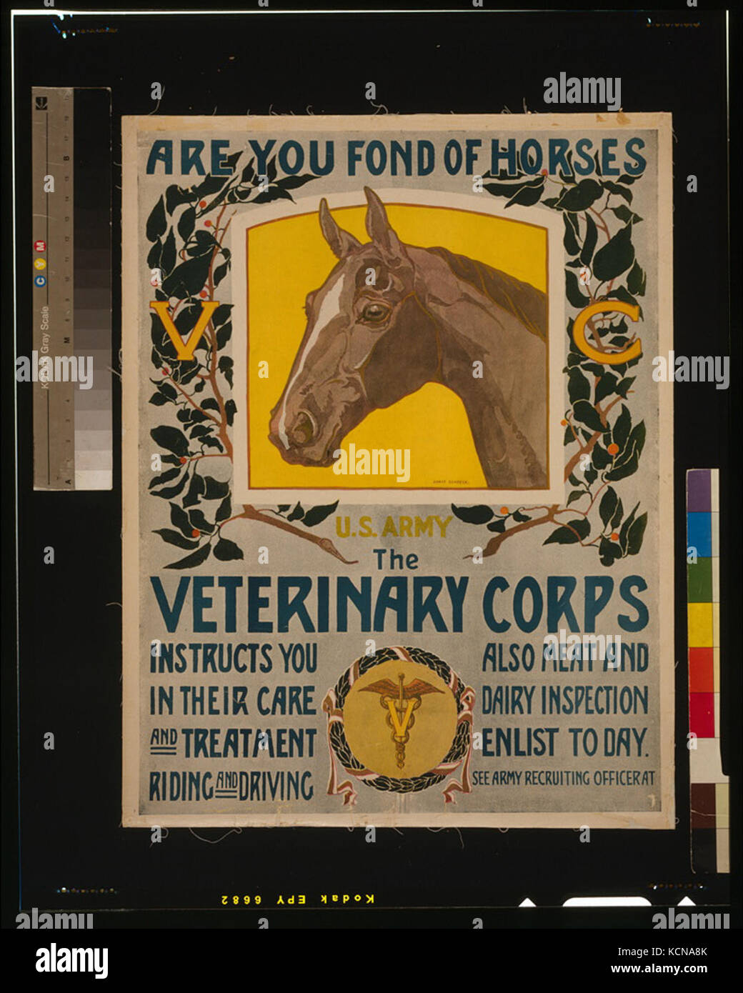 U s army veterinary corps High Resolution Stock Photography and Images ...