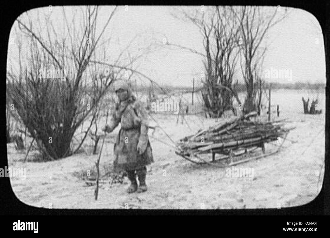 Goldes woman pulling firewood sledge LCCN2004708056 Stock Photo - Alamy