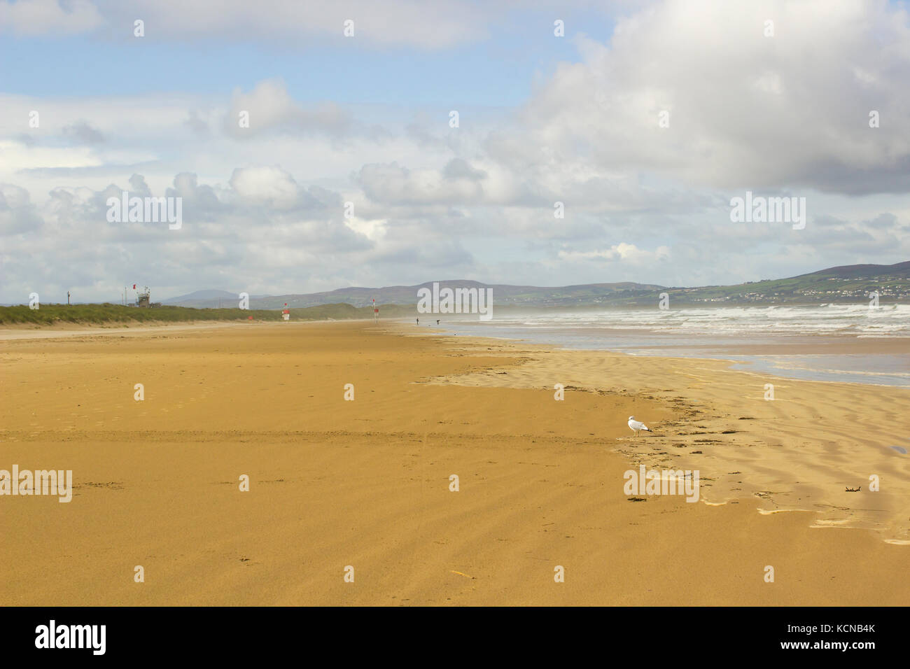The golden sands of the deserted beach at Benone in County Londonderry ...