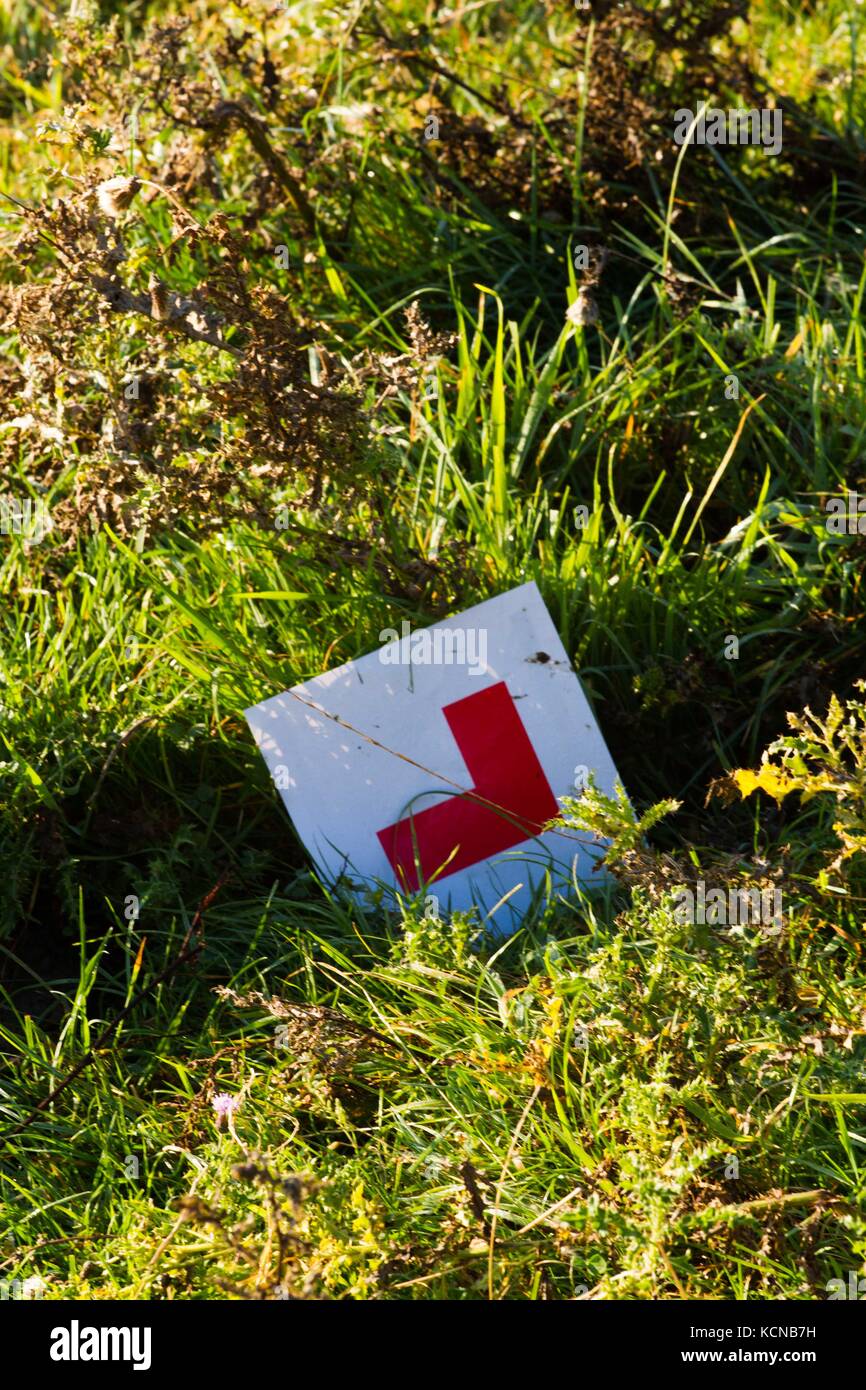 Learner plates discarded by driver who has passed driving test ...
