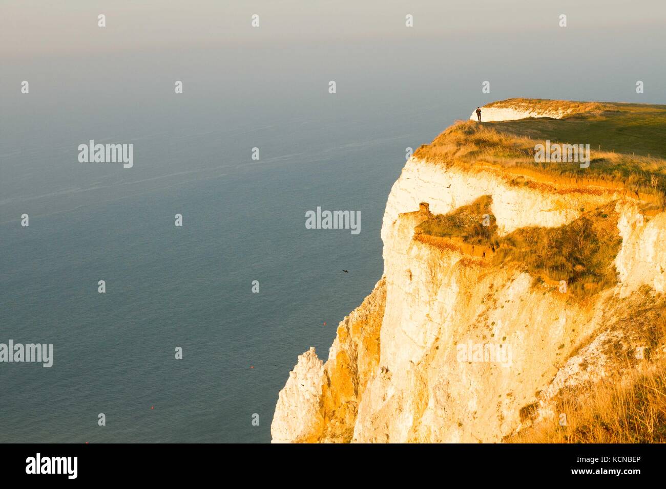 Beachy Head chalk cliffs at sunrise with person for scale .Site of ...