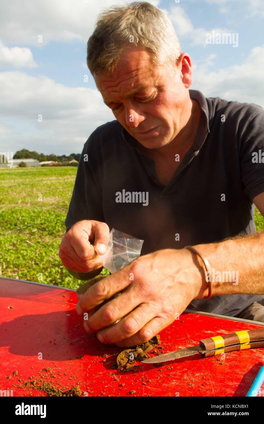 Scientists taking and analysing soil samples taken from rgricultural ...