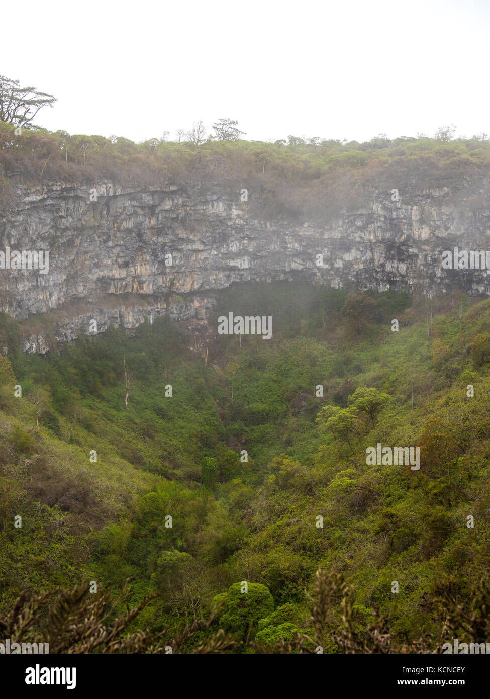 COLLAPSED LAVA DOME - SANTA CRUZ, GALAPAGOS ISLANDS, ECUADOR Stock ...