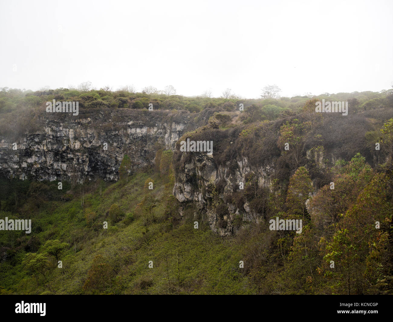 COLLAPSED LAVA DOME - SANTA CRUZ, GALAPAGOS ISLANDS, ECUADOR Stock ...