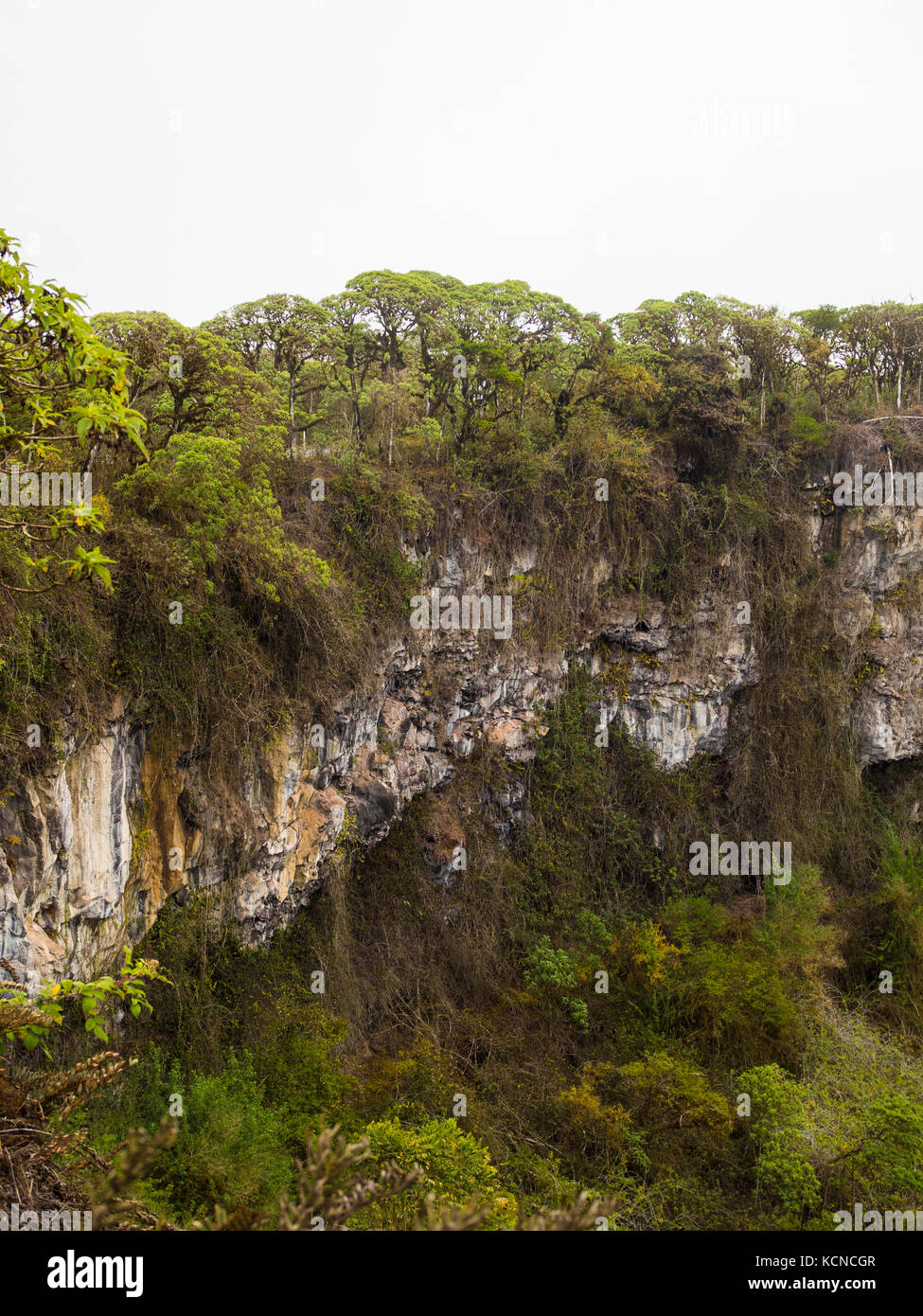 COLLAPSED LAVA DOME - SANTA CRUZ, GALAPAGOS ISLANDS, ECUADOR Stock ...