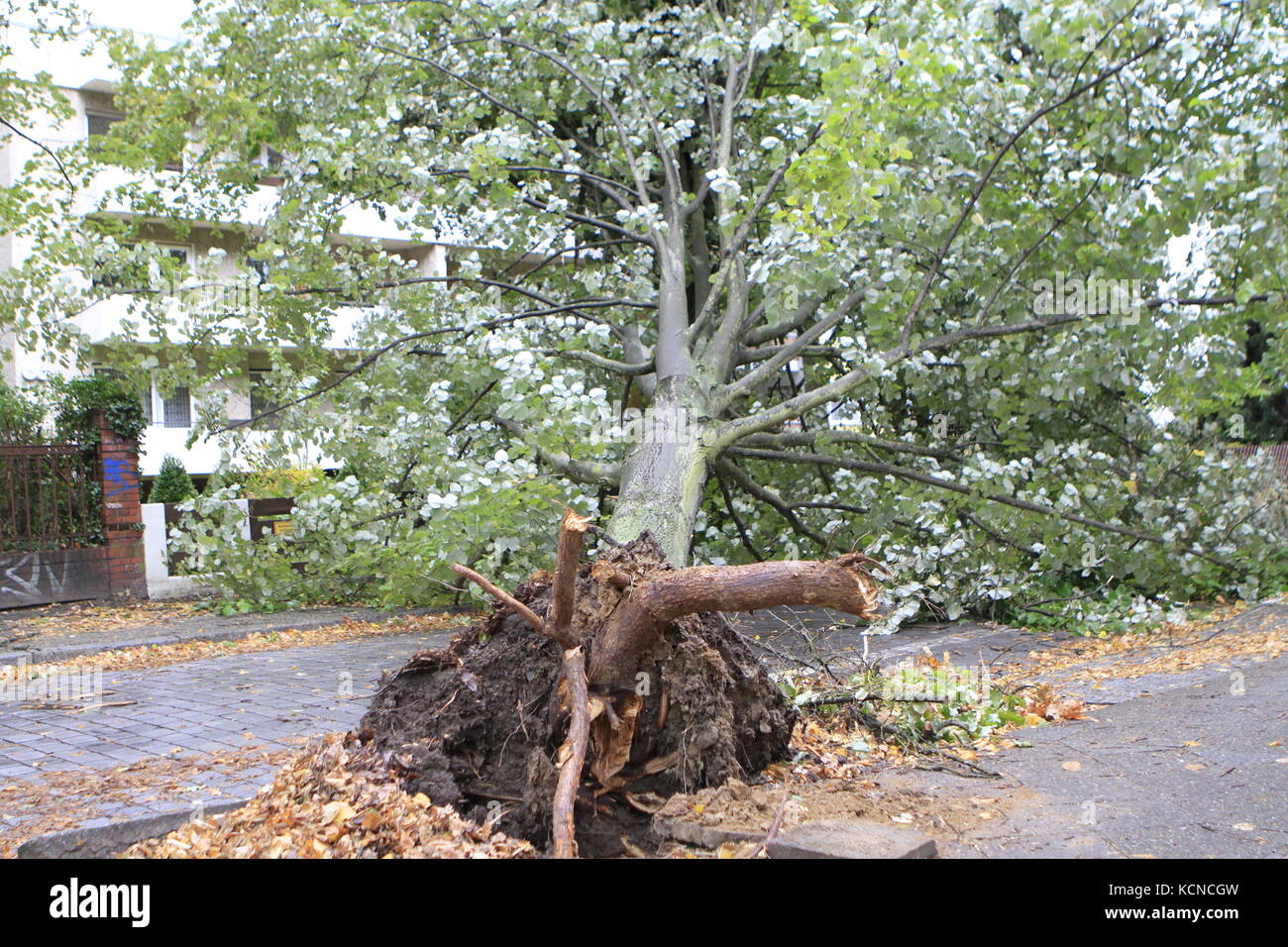 Berlin, Germany. 06th Oct, 2017. Storm "Xavier" is causing serious ...