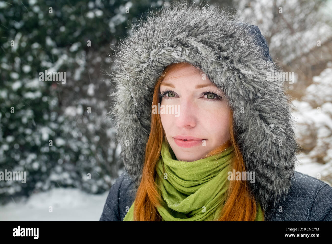 Pretty snowfall hi-res stock photography and images - Alamy