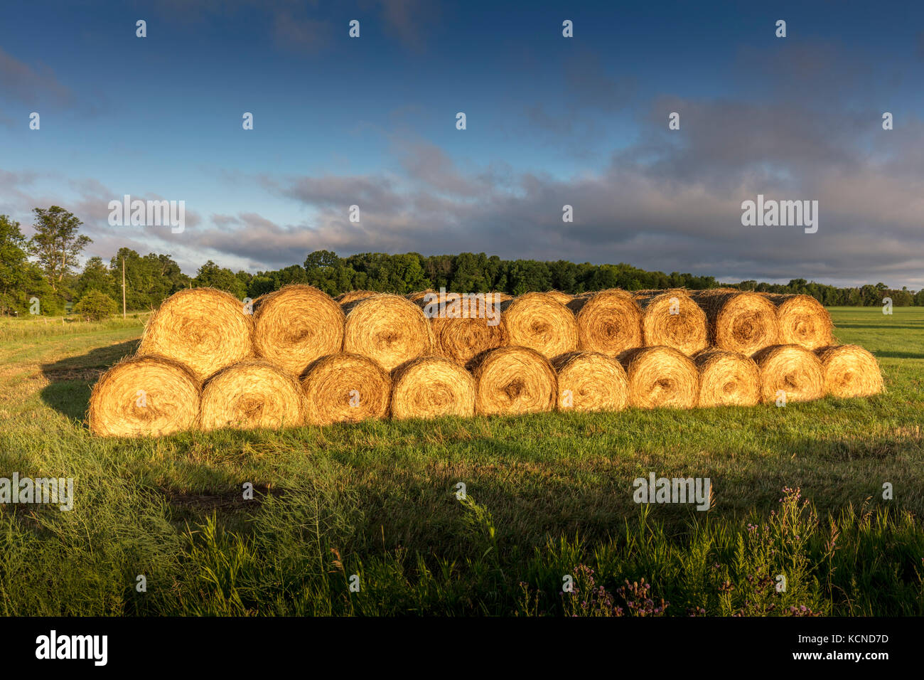 Stacks of hay bales hi-res stock photography and images - Alamy