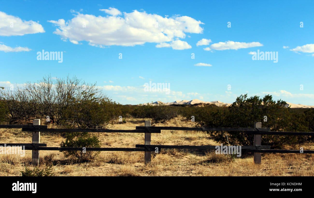 A single view in the desert Stock Photo - Alamy