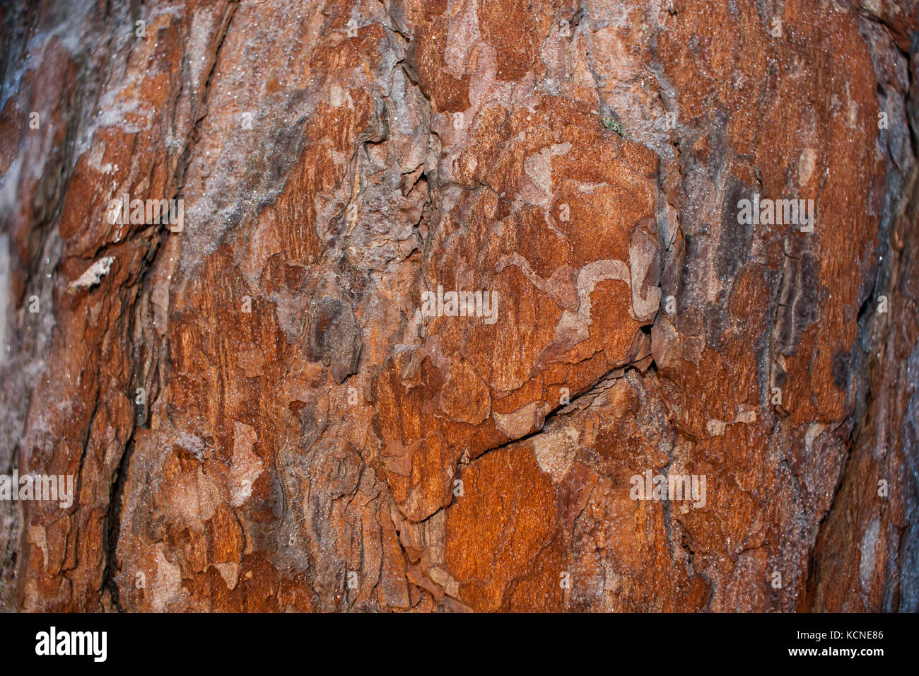 Snow flaked hi-res stock photography and images - Alamy